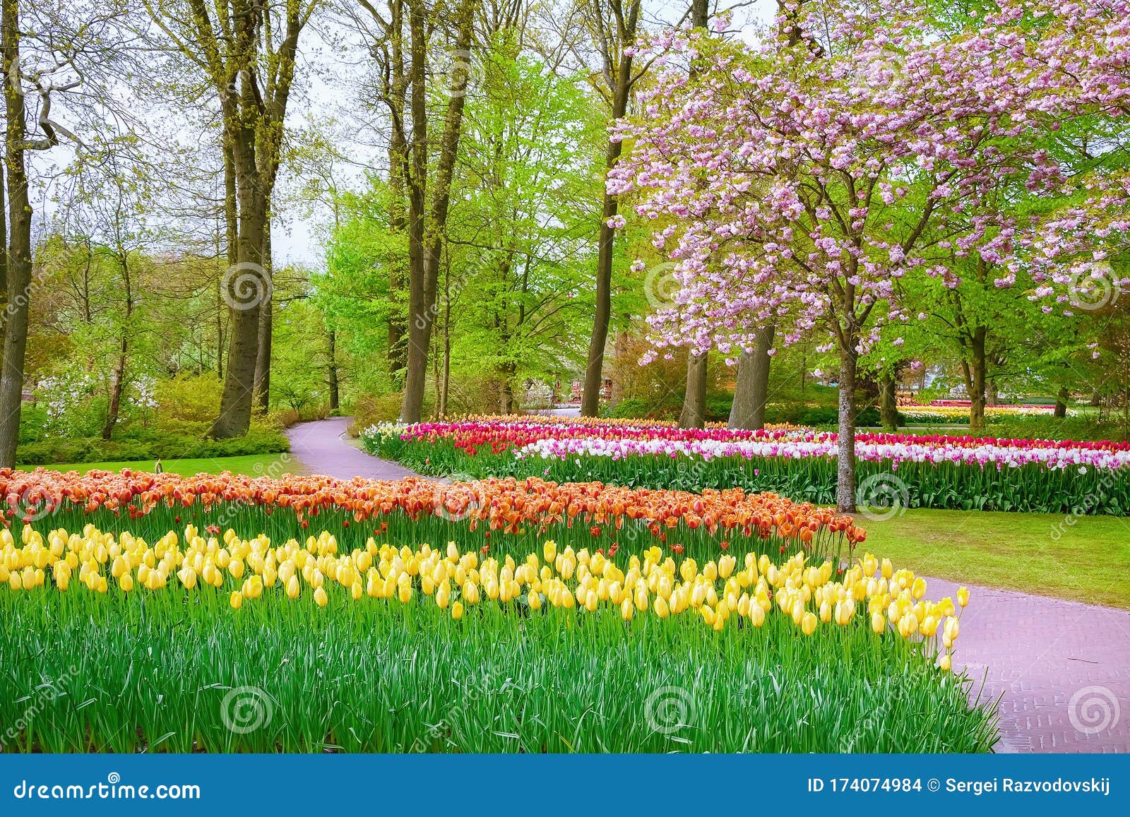 Spring in the park stock photo. Image of outdoors, people - 174074984