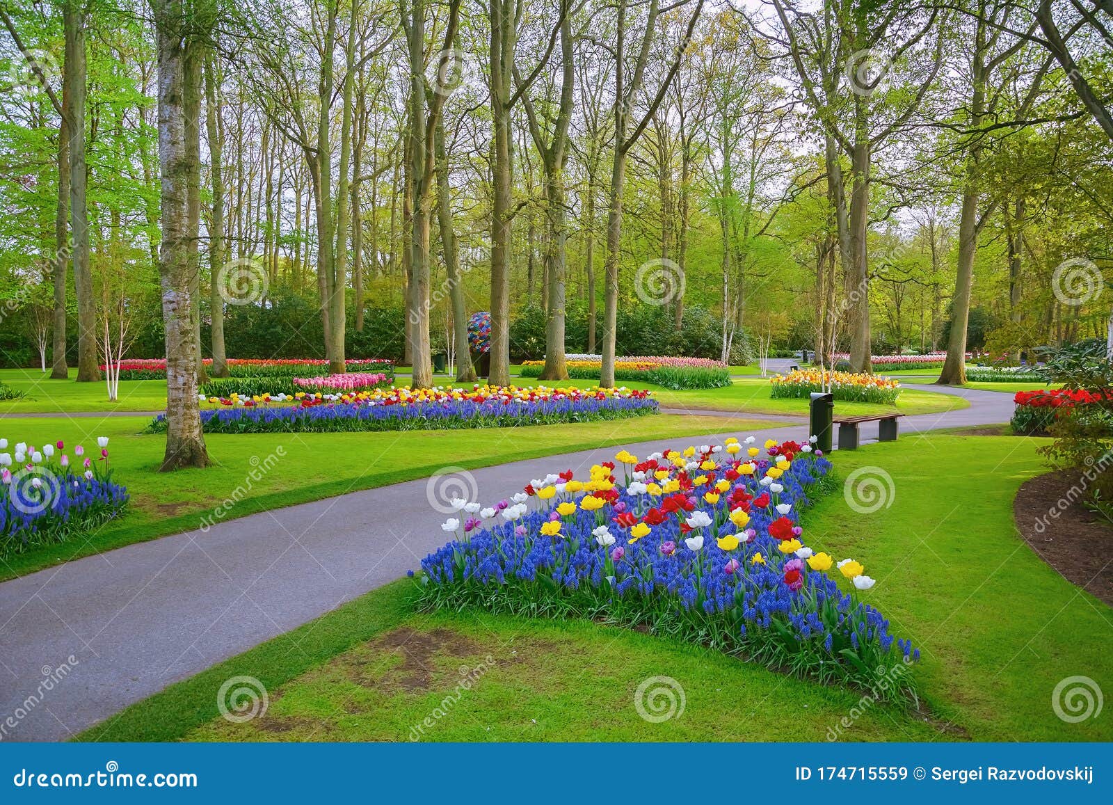 Spring in the park stock image. Image of environmental - 174715559