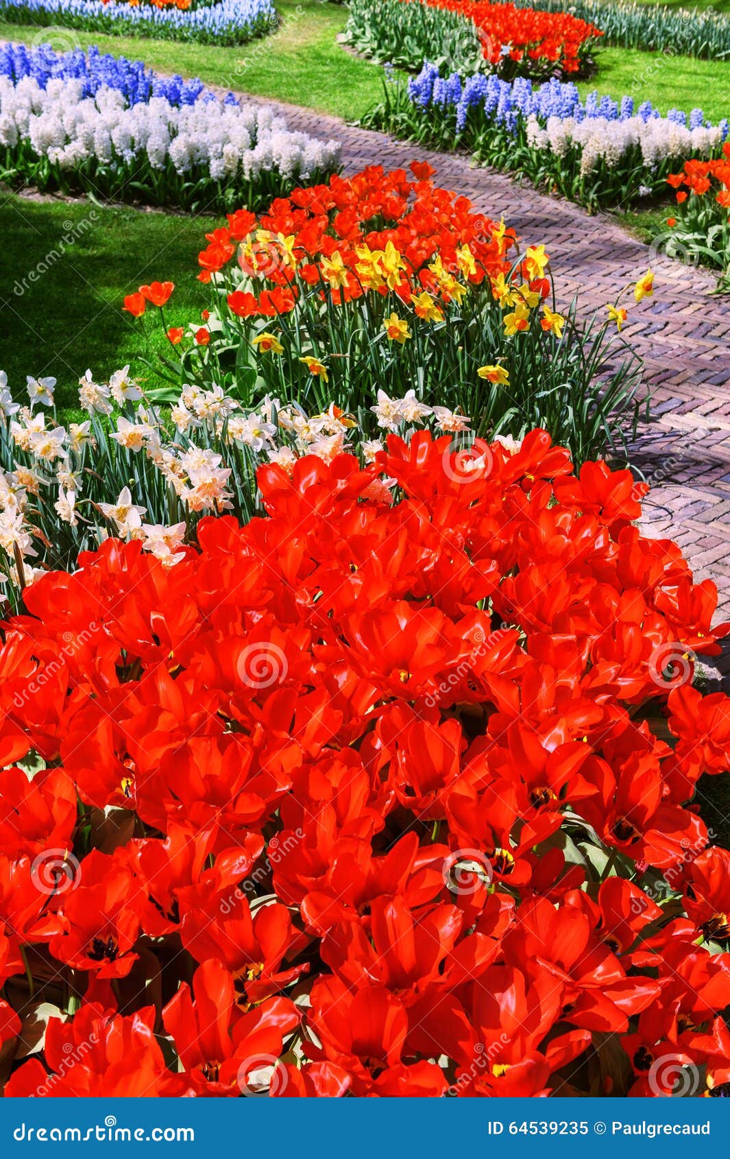 Spring Park with Multicolor Flowers Stock Image - Image of keukenhof ...
