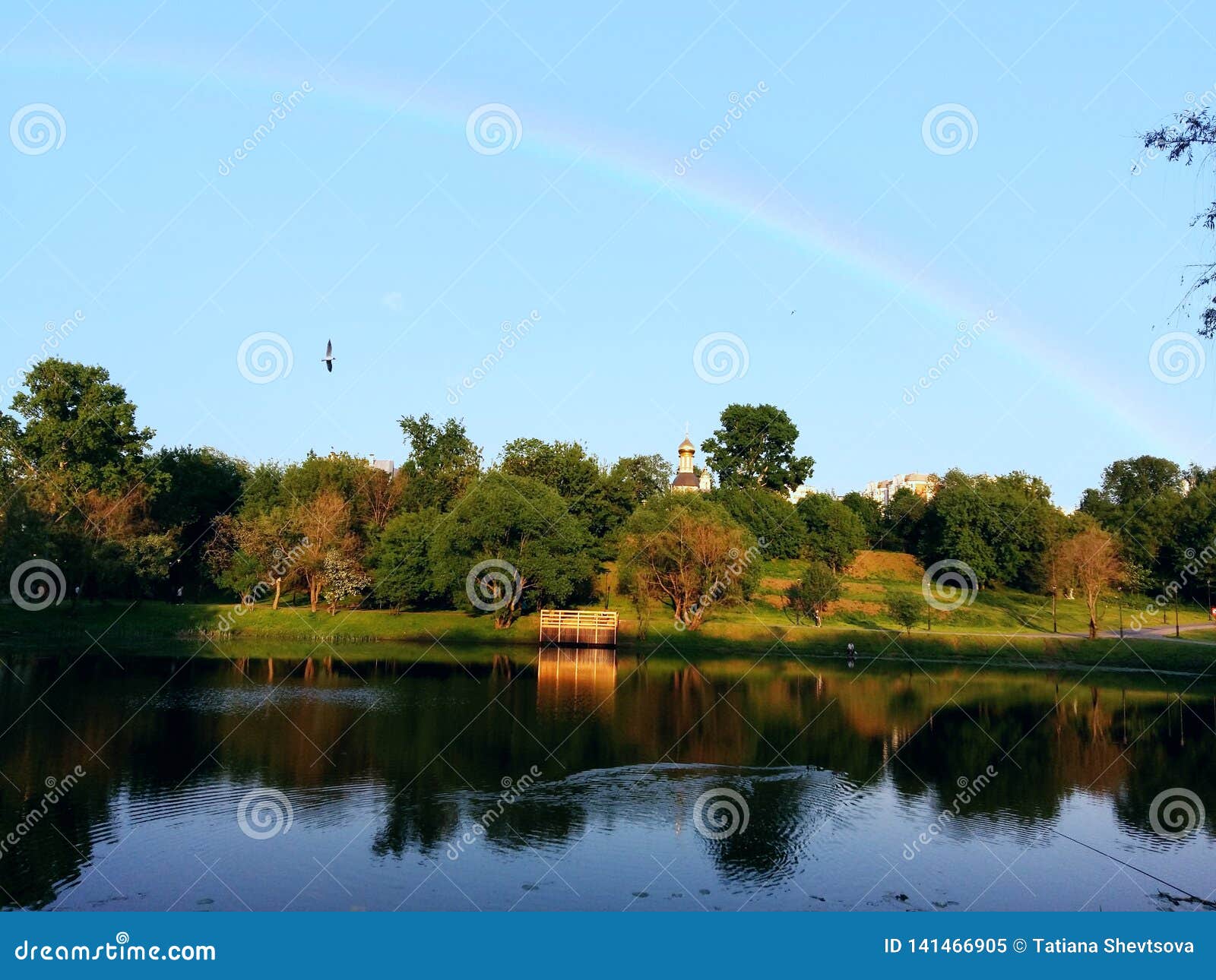 Spring park stock image. Image of park, nature, spring - 141466905
