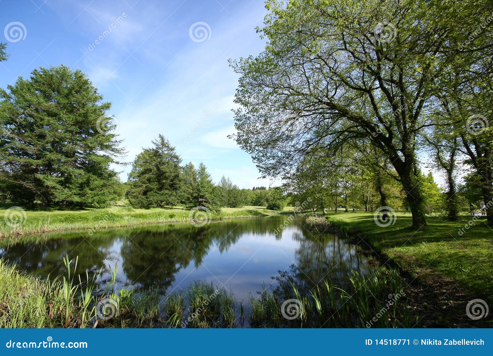 Spring Park Reflect in Pond Stock Image - Image of reflecting, light ...