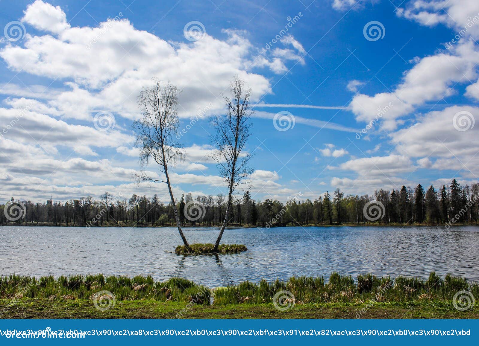 Spring Park View, Gatchina, Gatchina Park Stock Photo - Image of waking ...
