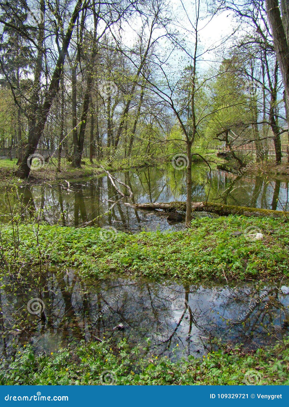 Spring park view stock image. Image of logs, trees, landscape - 109329721
