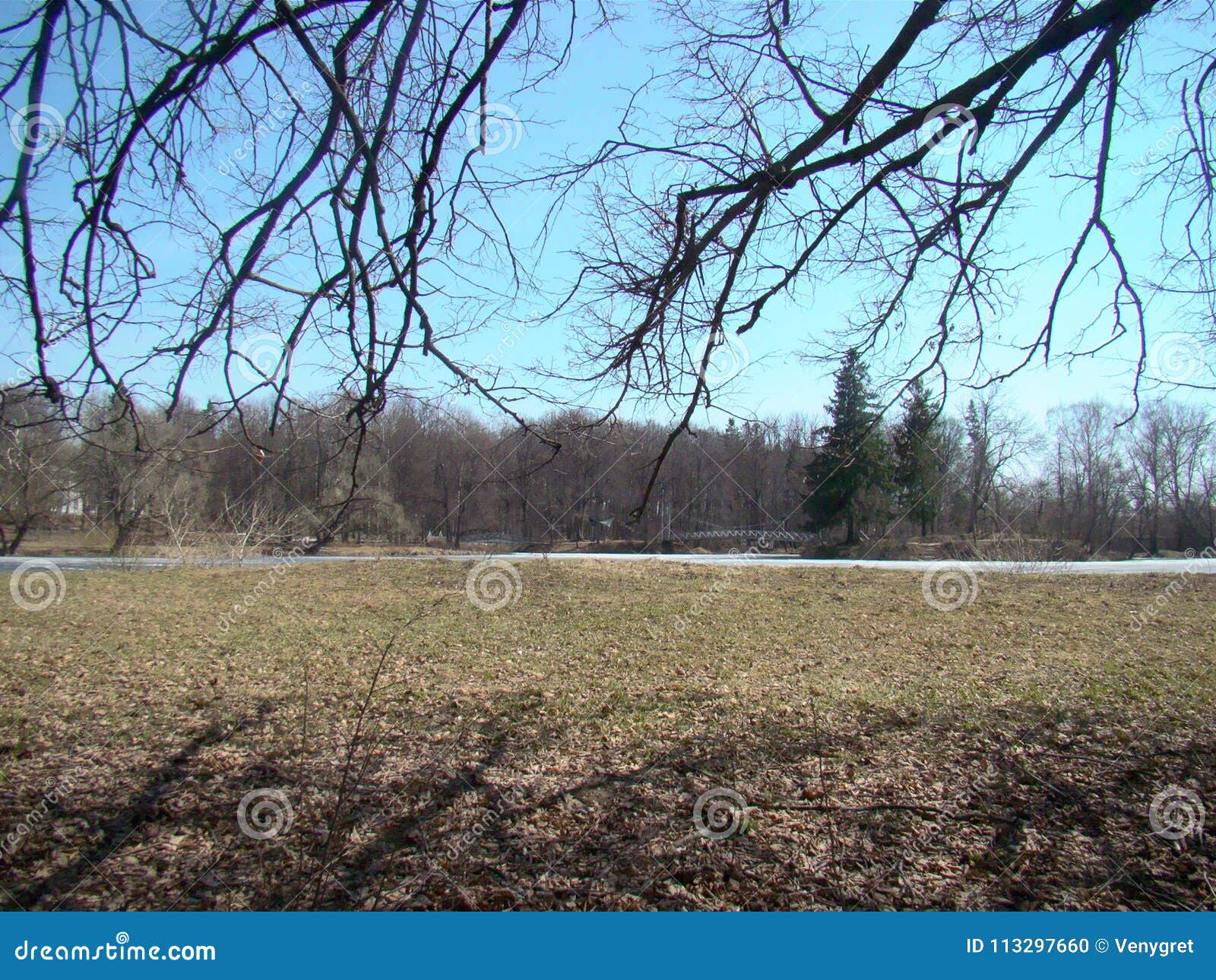 Spring Park View with Water Stock Photo - Image of park, season: 113297660