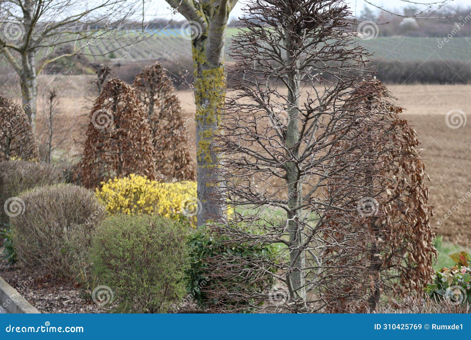 Spring in the Parking lot stock image. Image of spring - 310425769