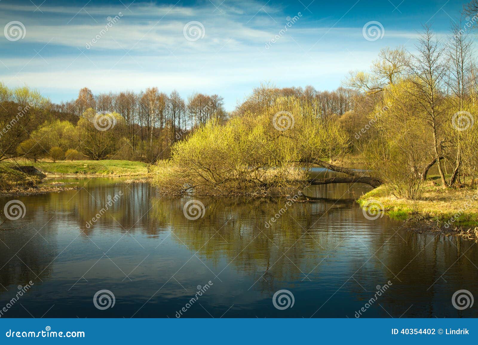 Spring in the Parks and Forests of Europe Stock Photo - Image of field ...
