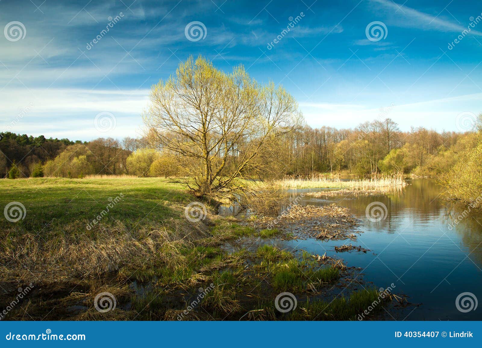 Spring in the Parks and Forests of Europe Stock Image - Image of ...
