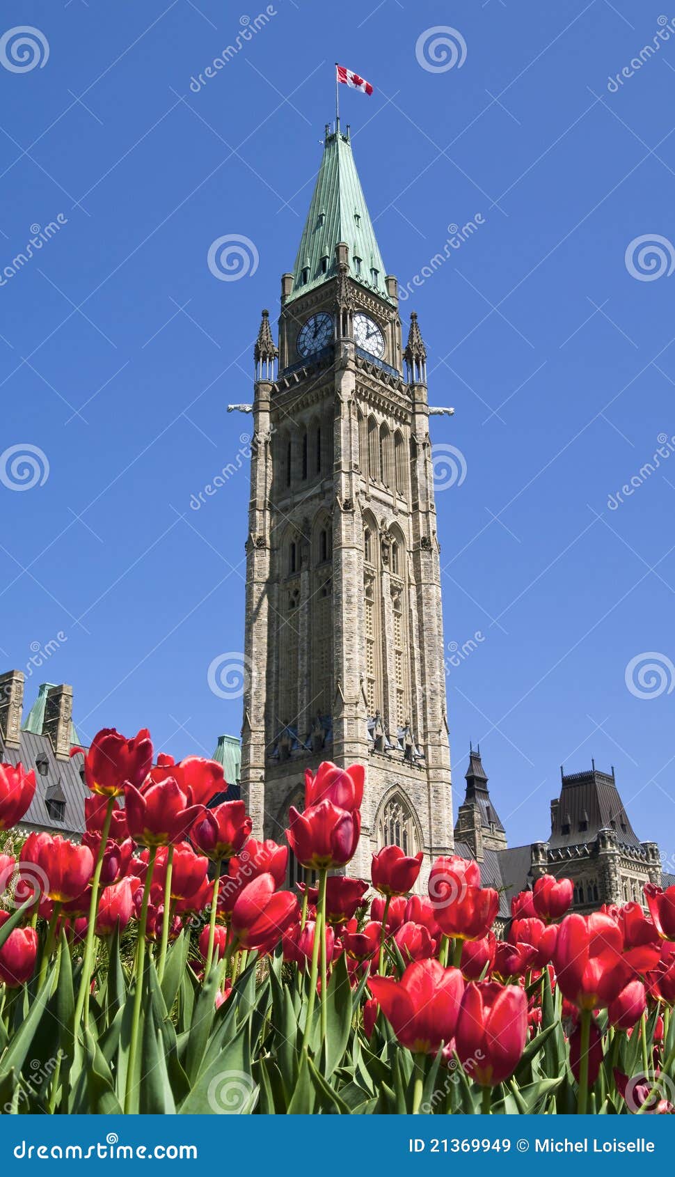 Spring Parliament stock image. Image of history, canadian - 21369949
