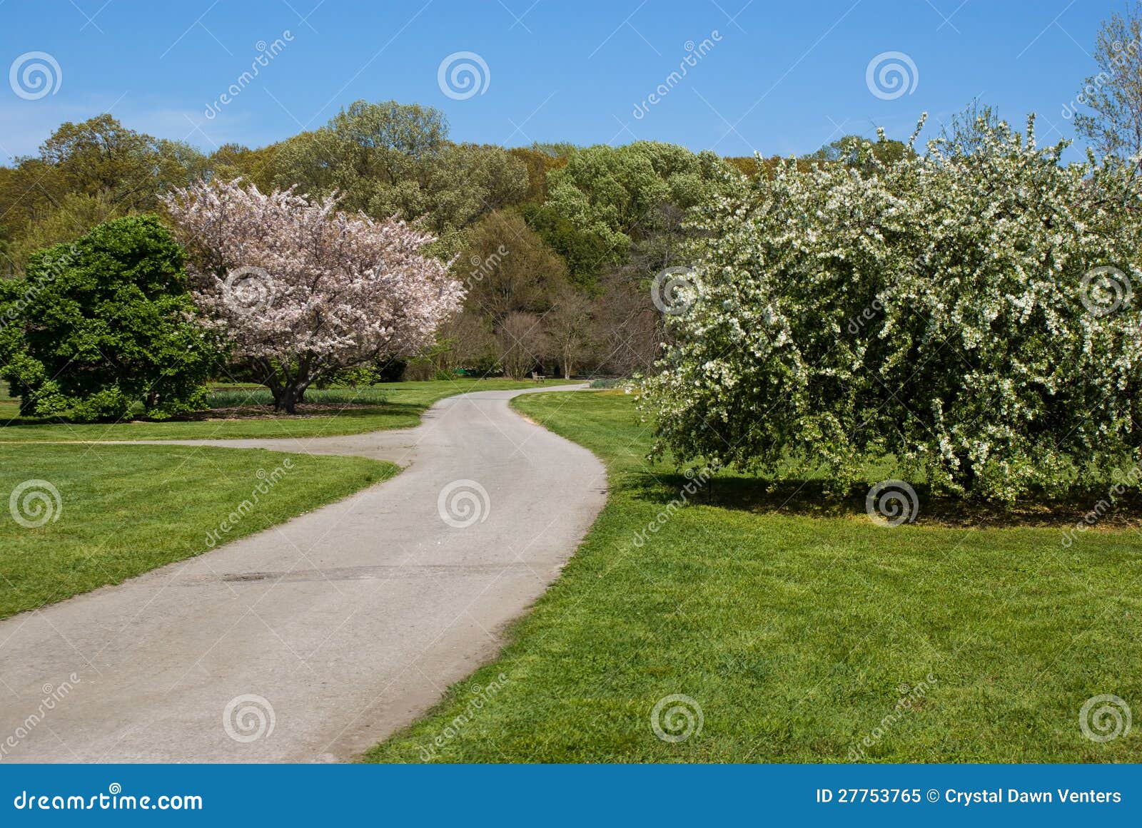 Spring Path stock image. Image of trail, green, spring - 27753765