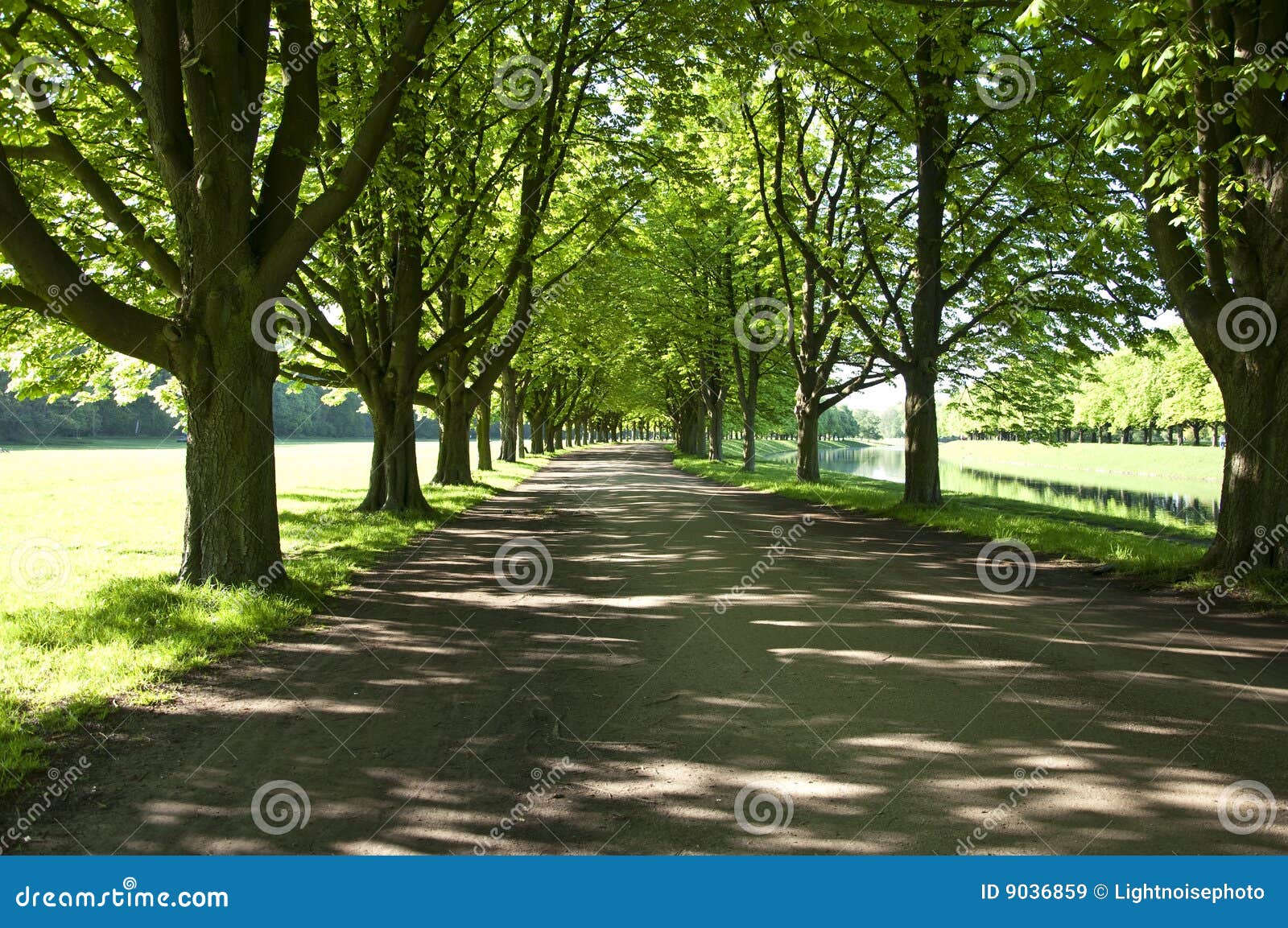 Spring path stock image. Image of outdoors, green, atmosphere - 9036859