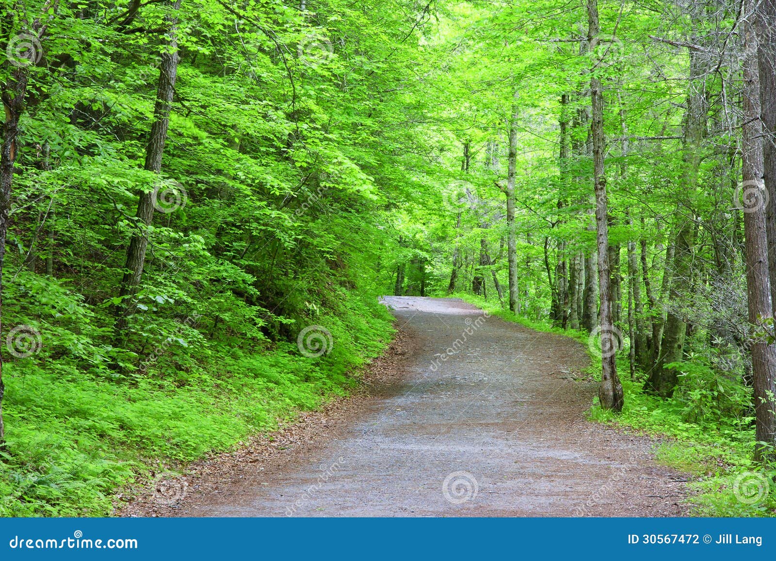 Spring Path stock photo. Image of quiet, footpath, hiking - 30567472