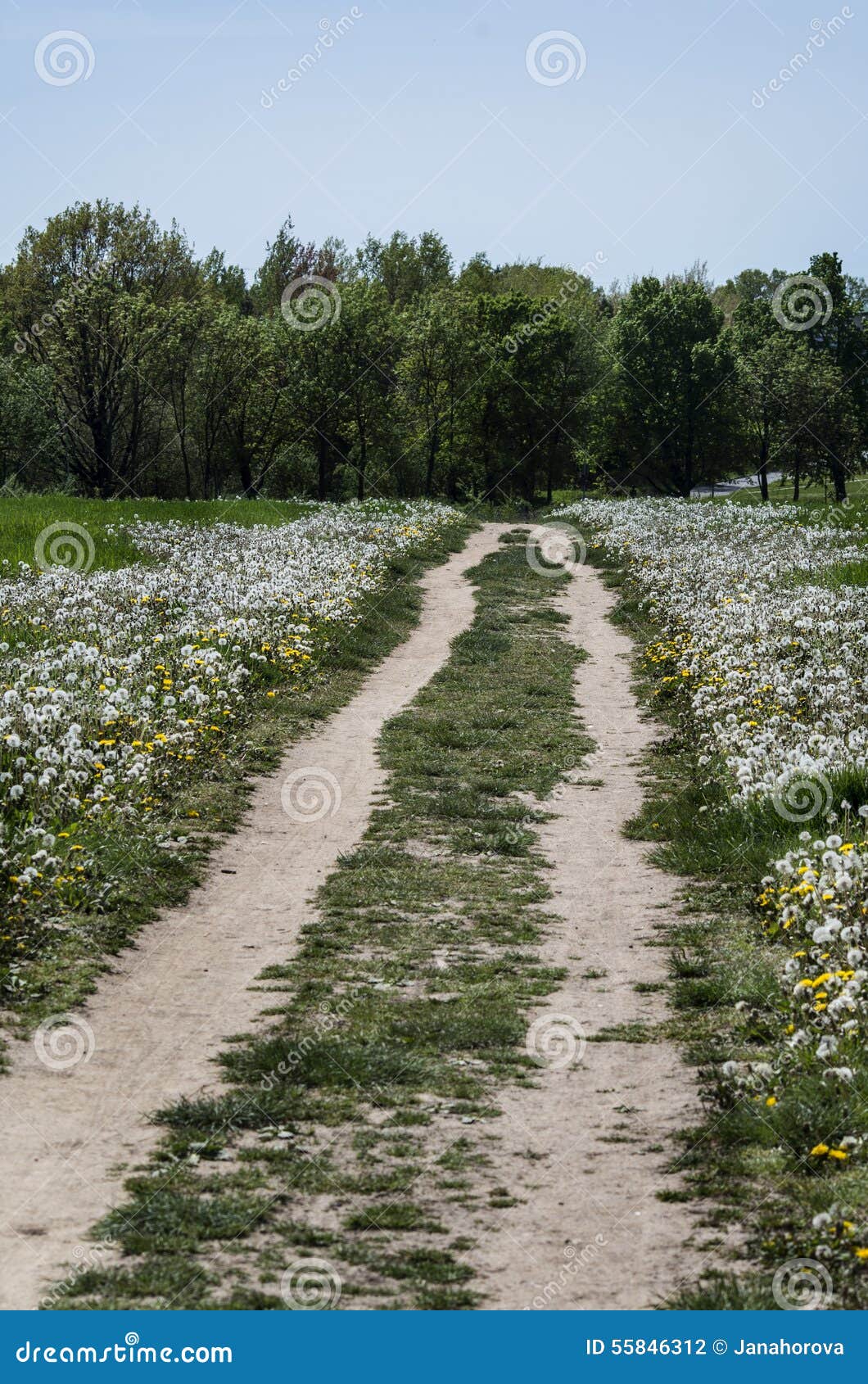 Spring path stock photo. Image of nice, blue, fresh, weekend - 55846312
