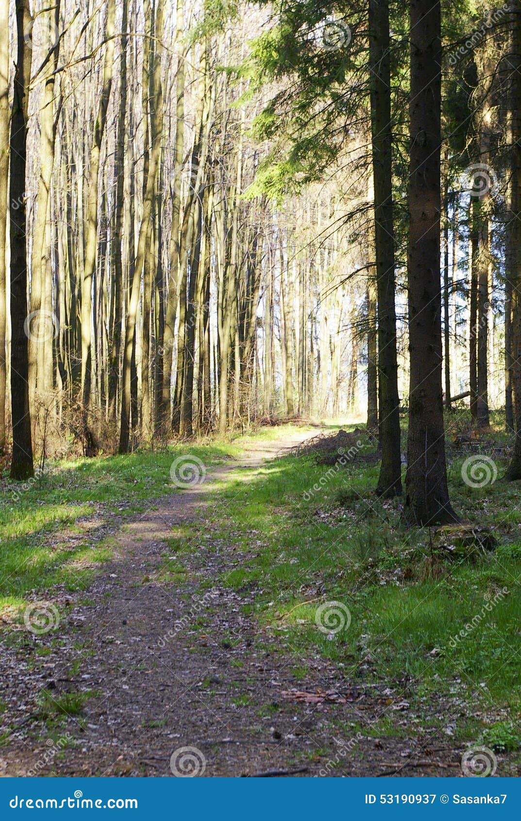 Spring pathway stock image. Image of getaway, meadow - 53190937