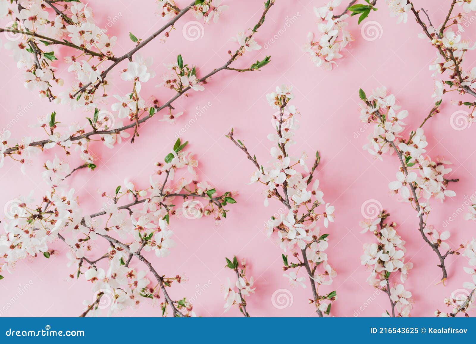 Spring Pattern of Branches with Spring Flowers on Pink Background. Flat ...