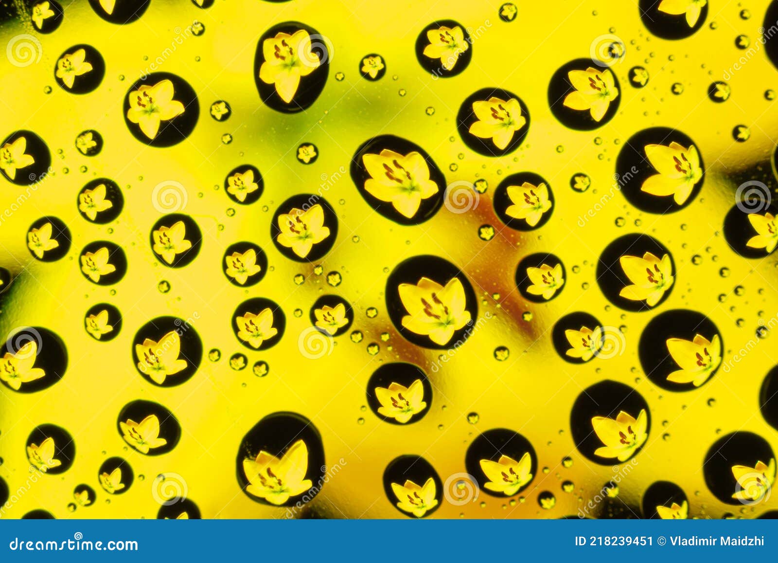Spring Pattern or Texture of Water Drops on Glass with Yellow Flower ...