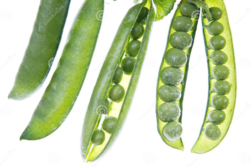 Spring peas stock photo. Image of healthy, peas, sugar - 21296478