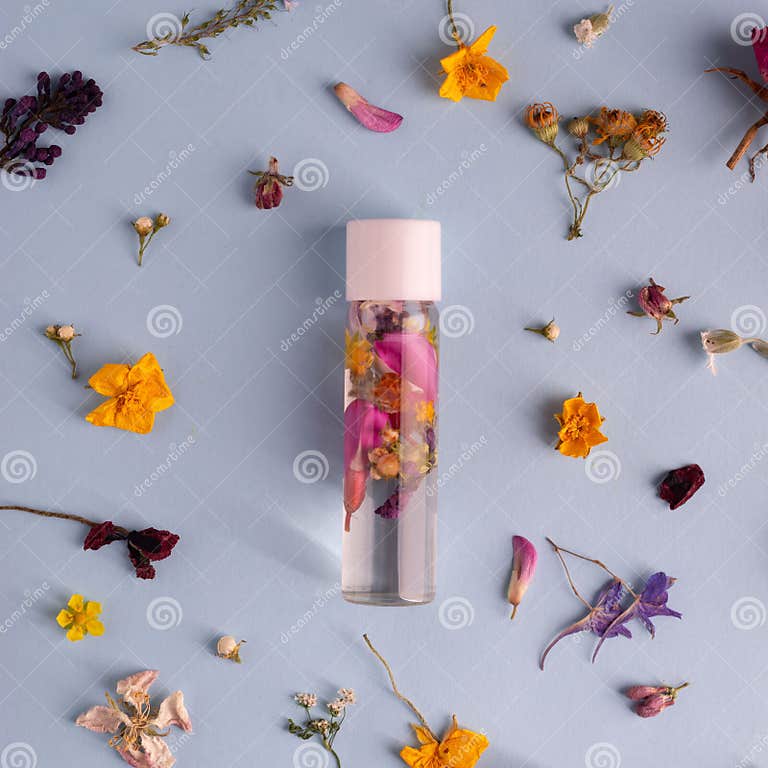 Spring Perfume on Floral Blue Background Top View Floral Spring ...