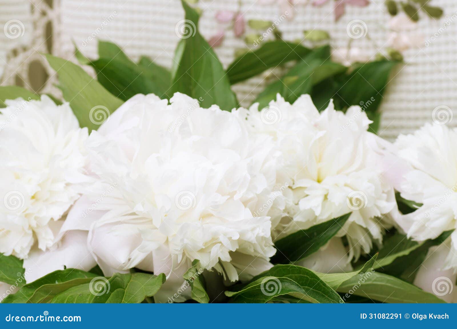 Spring pi-mesons flowers stock image. Image of branch - 31082291
