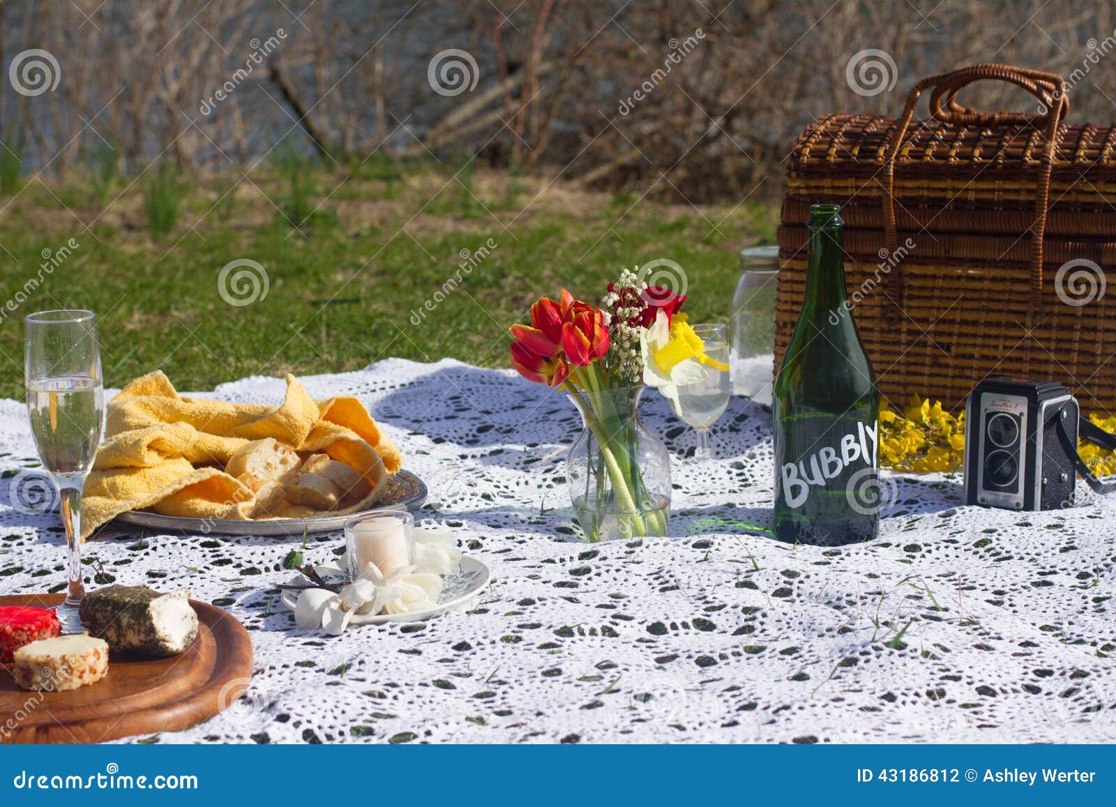 Spring Picnic stock photo. Image of grass, bread, outdoors - 43186812