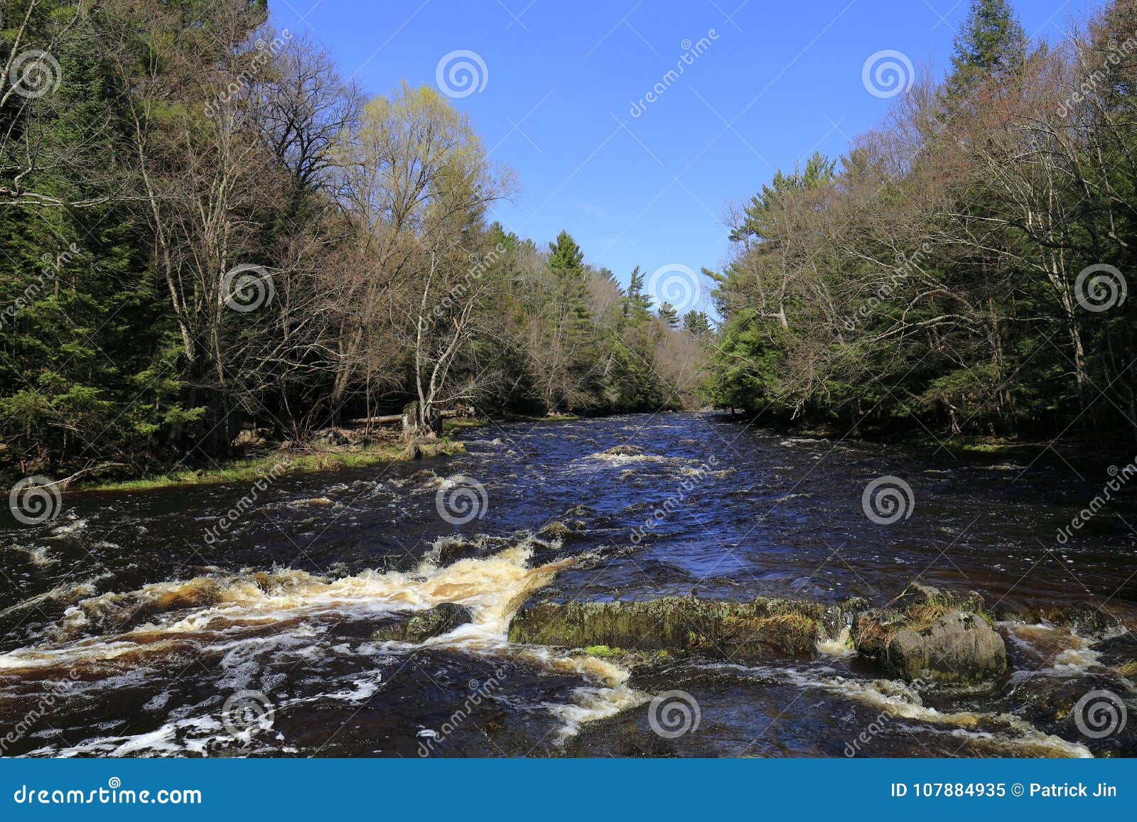 Spring Picture of Eau Claire Dells River Stock Image - Image of trees ...