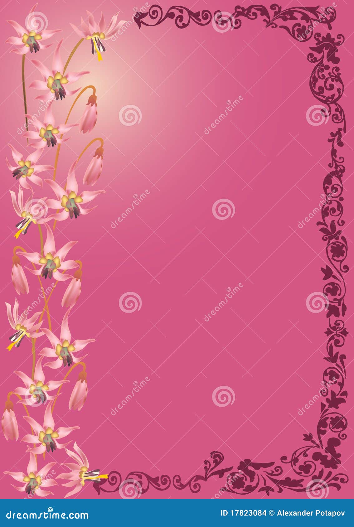 Spring Pink Flower Frame Illustration Stock Vector - Illustration of ...