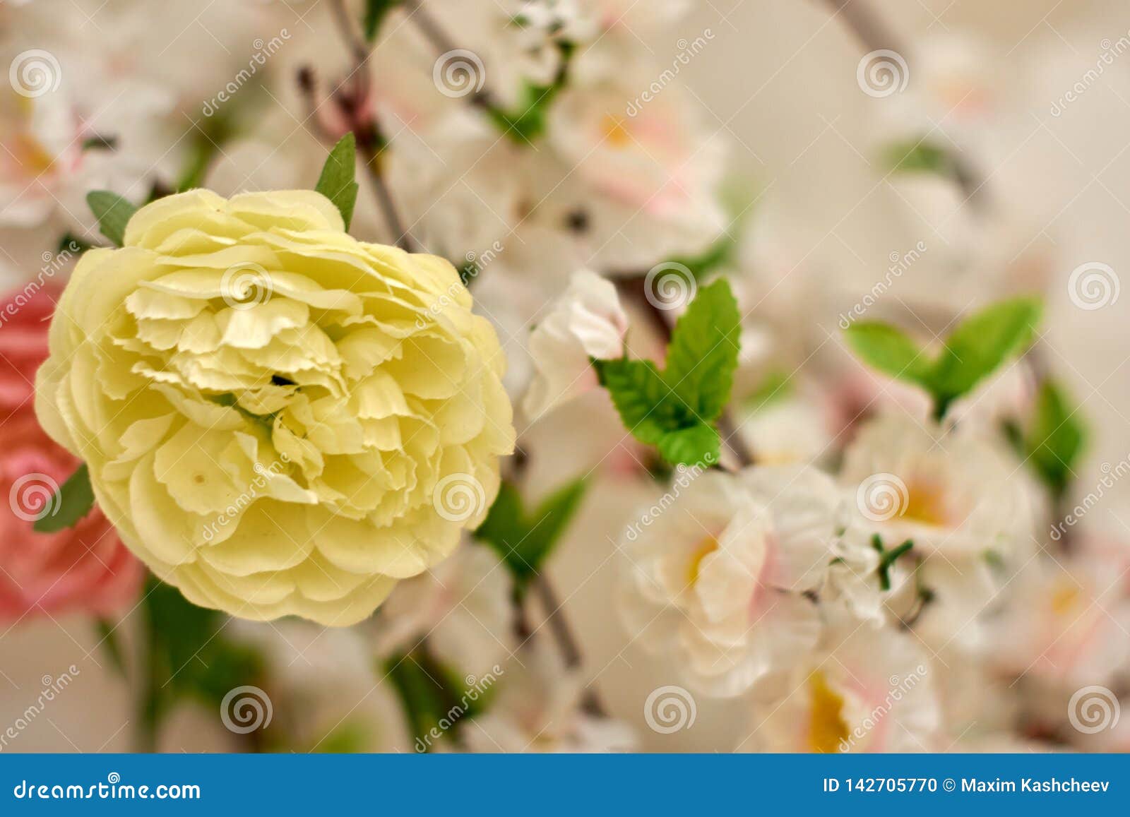 Spring Pink Plastic Sakura Flower Decorating a Garden Stock Photo ...