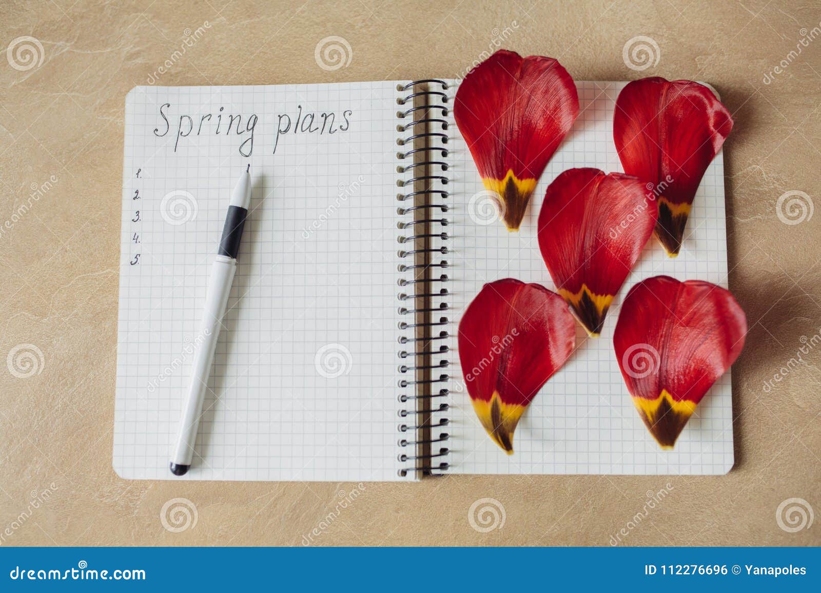 Spring plans stock photo. Image of desk, empty, petals - 112276696