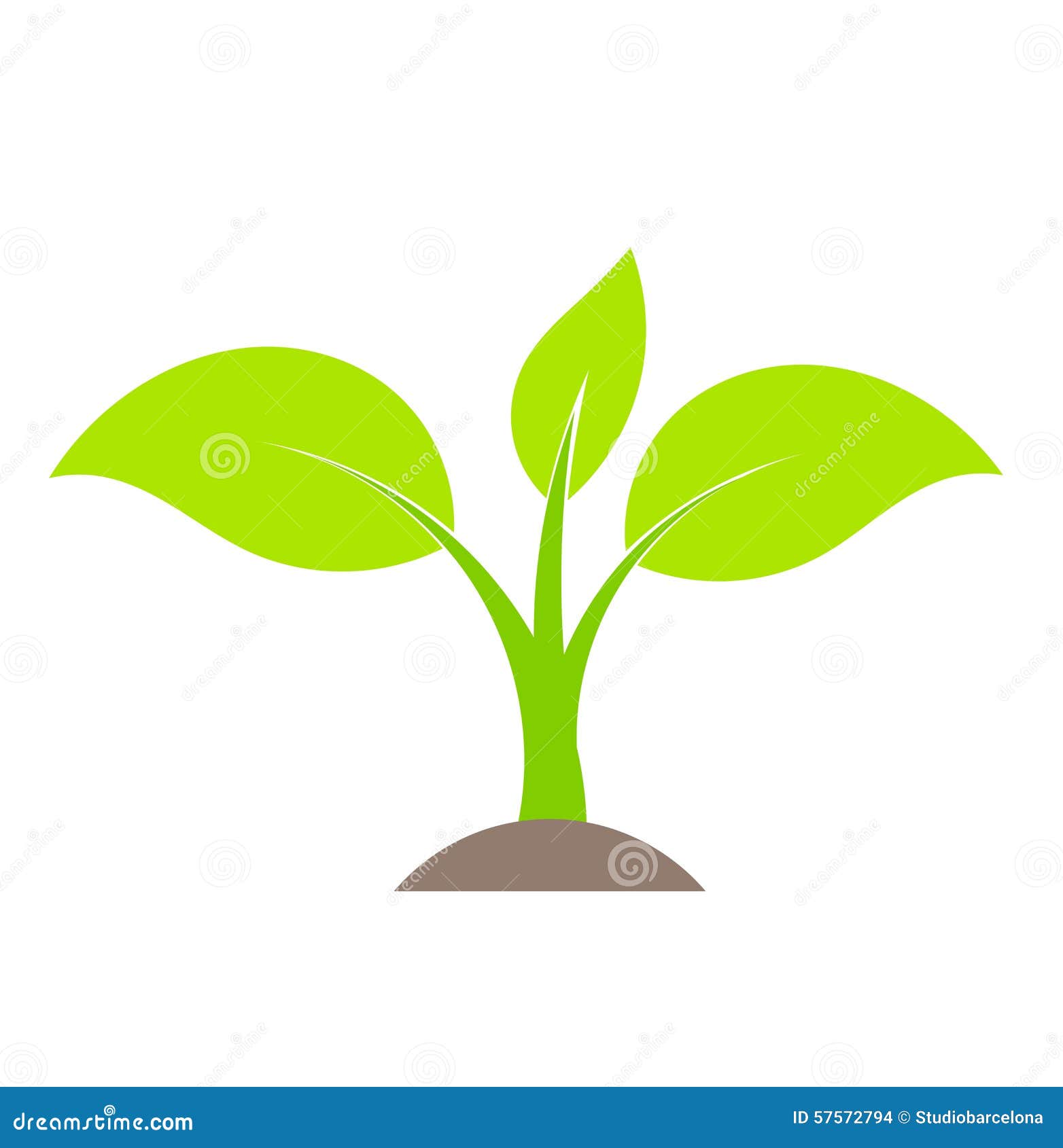 Spring plant stock vector. Illustration of botany, earth - 57572794