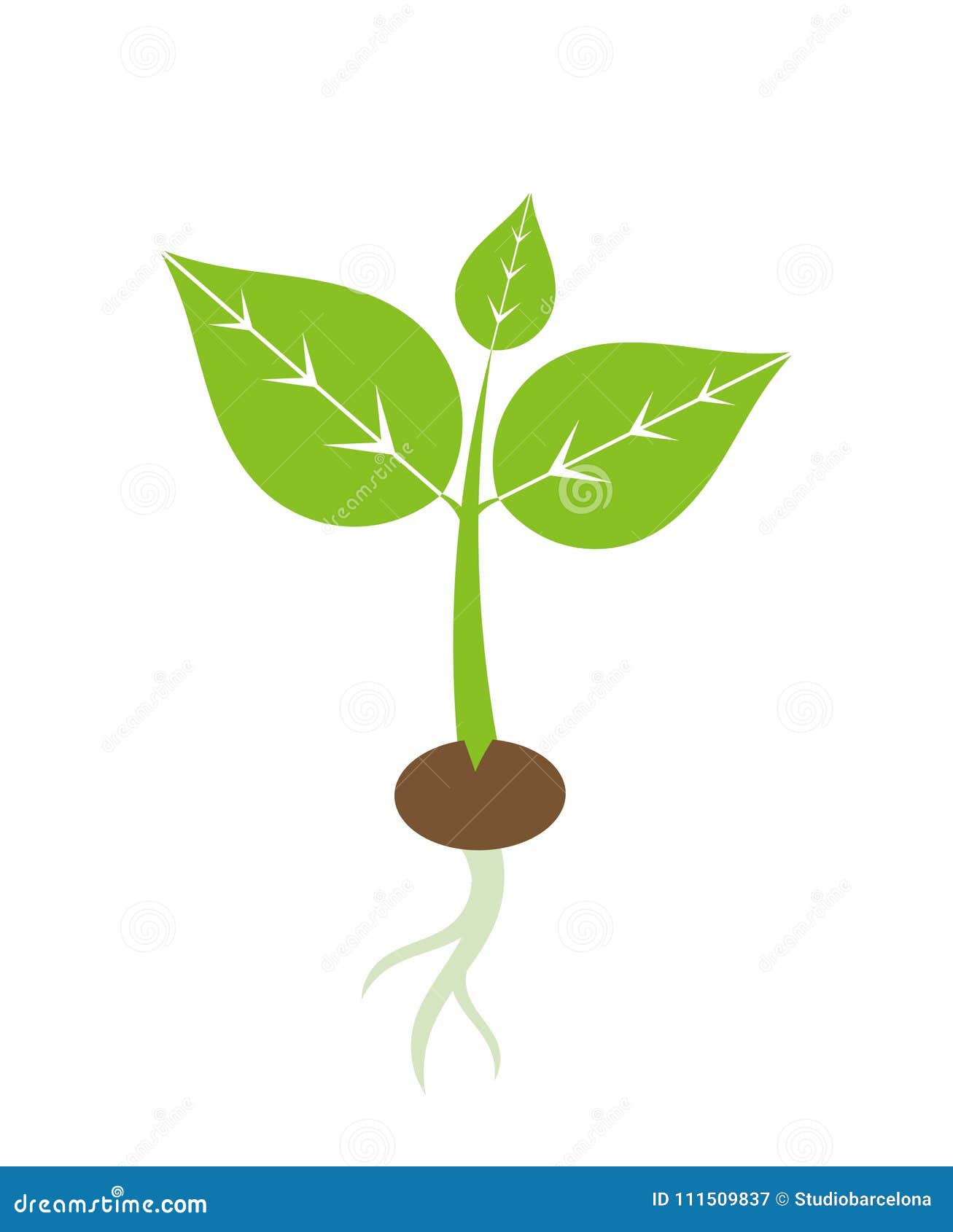 Spring plant seedling icon stock vector. Illustration of flat - 111509837