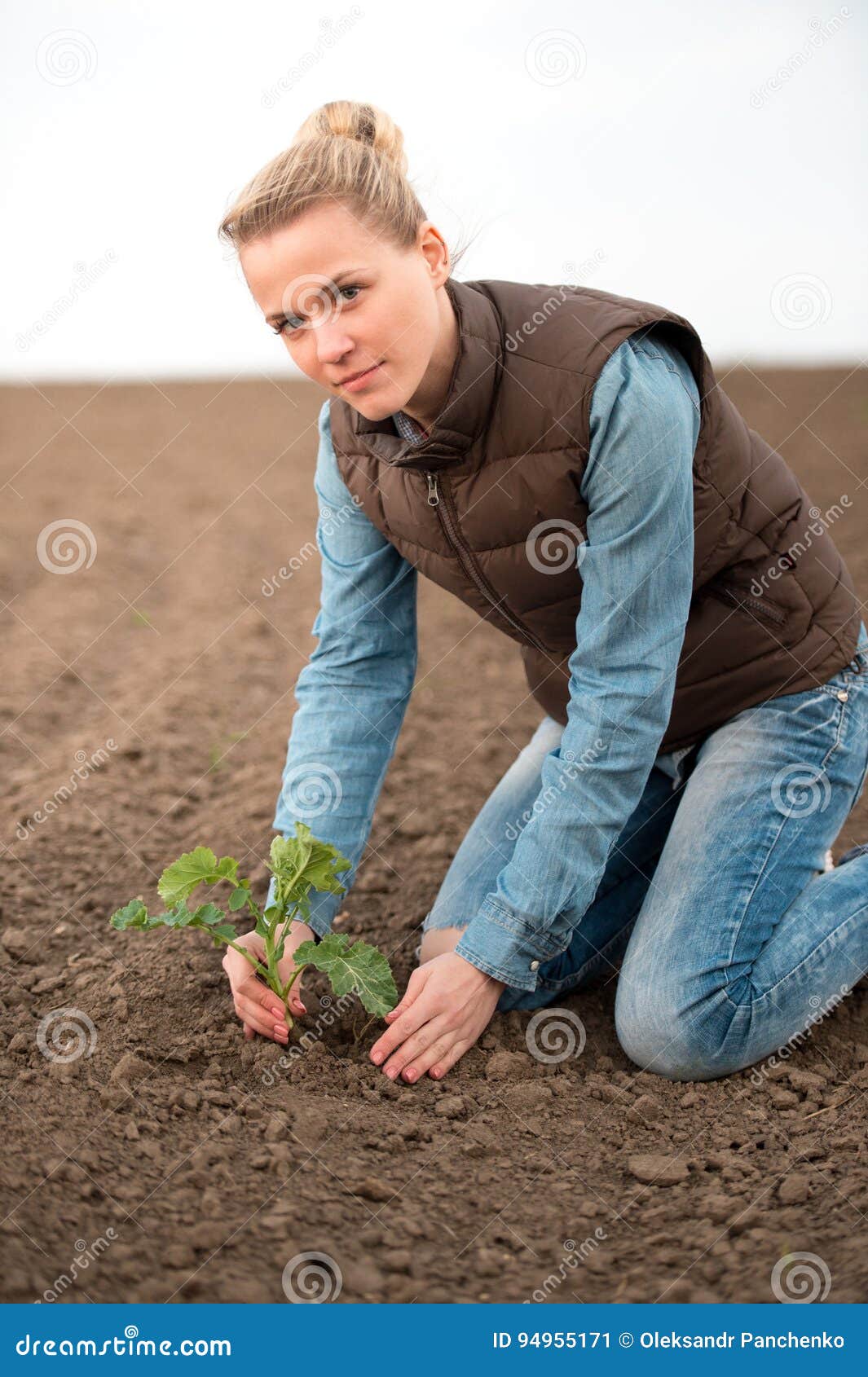 Spring Planting in the Field Woman Agronomist Stock Image - Image of ...