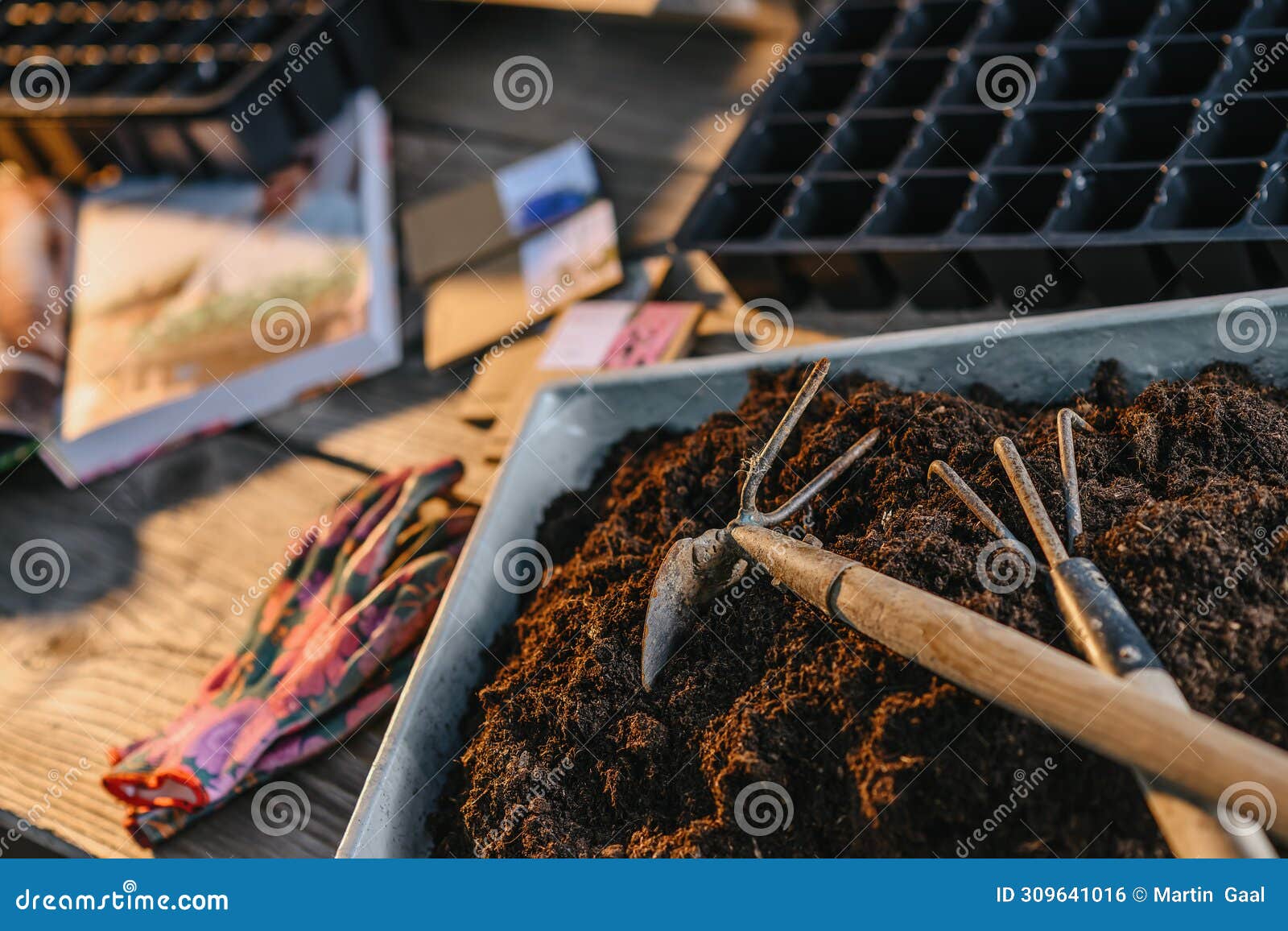 Spring Planting of Seeds in the Ground, Tools, Containers and Garden ...