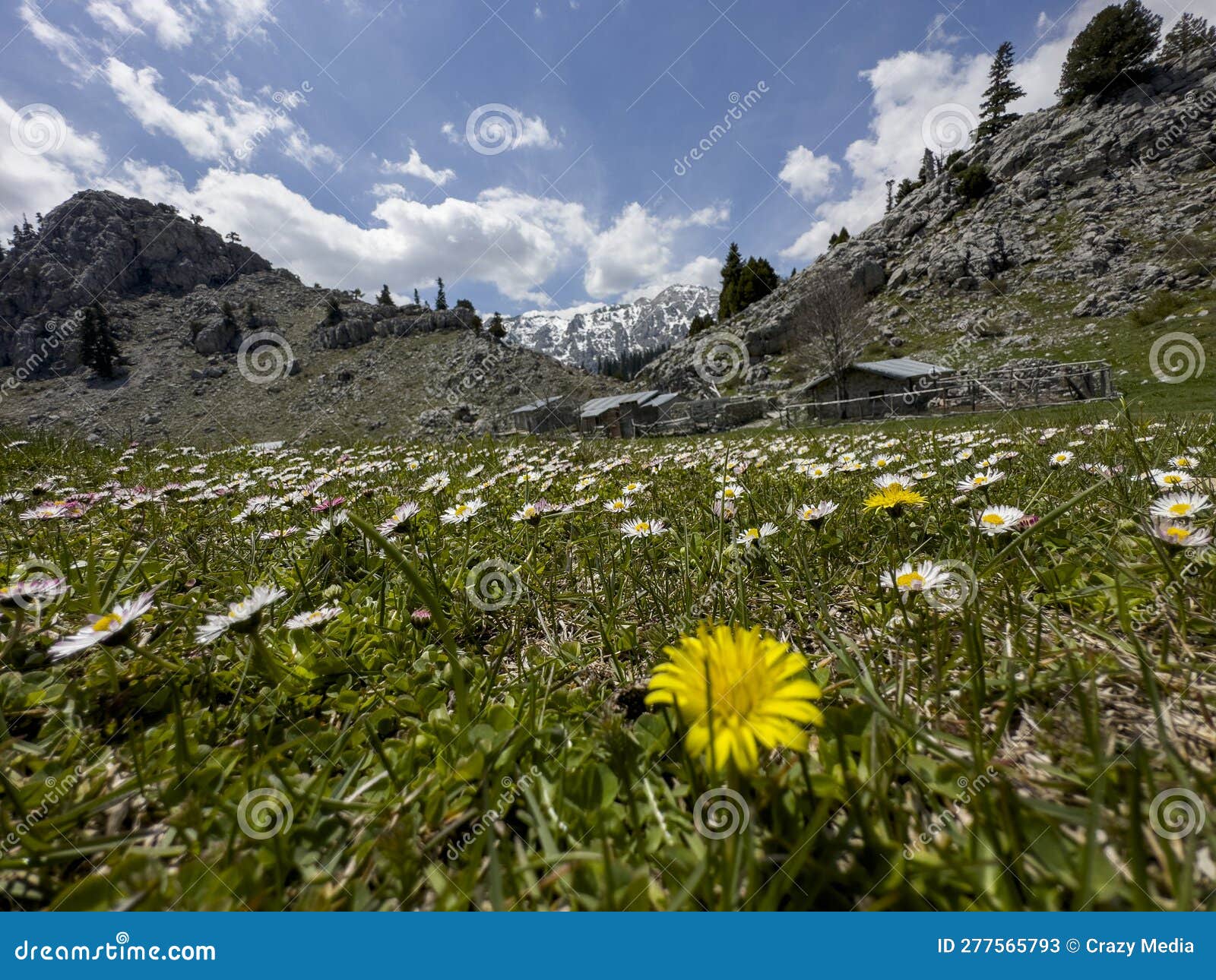 Spring in the Plateau, Magnificent Mountain Landscapes and Natural ...