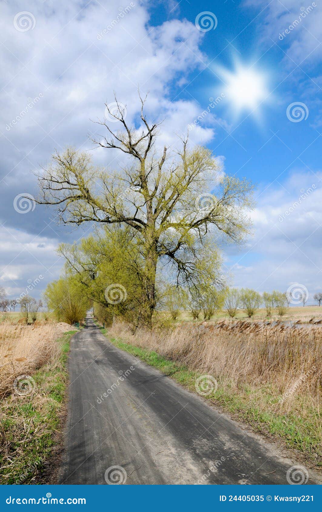 Spring in Poland stock image. Image of crop, outside - 24405035