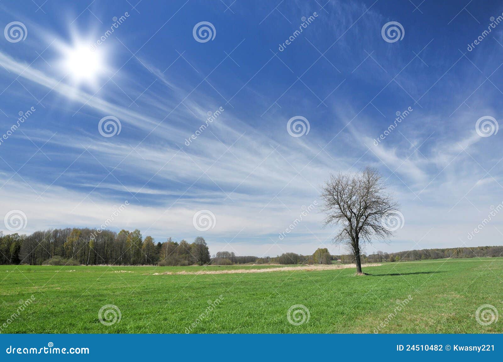 Spring in Poland stock photo. Image of season, green - 24510482