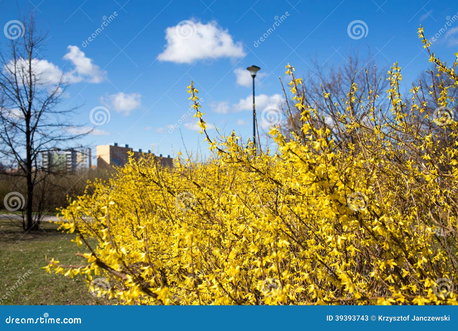 Spring in Poland. stock image. Image of europe, blue - 39393743