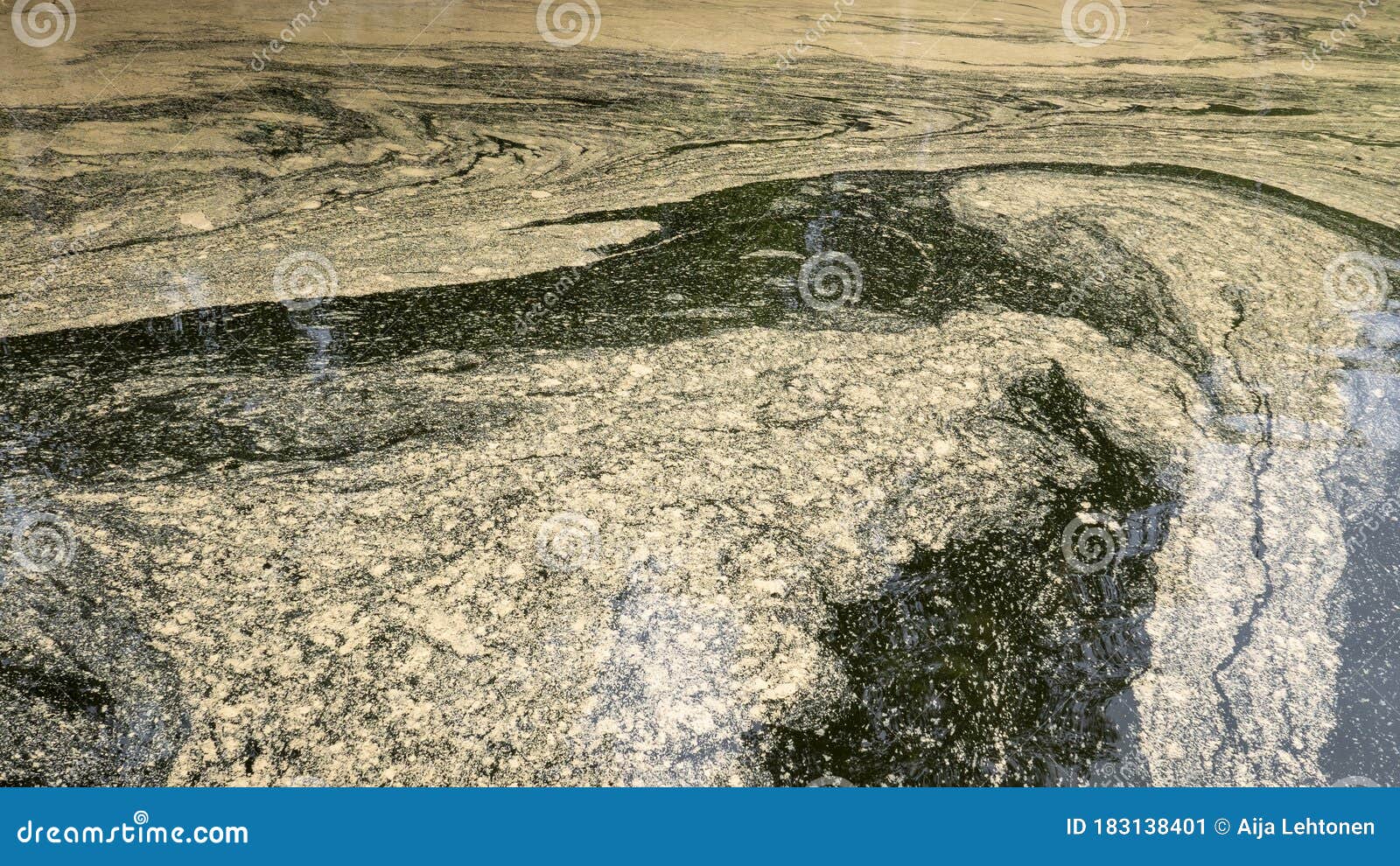 Spring Pollen Cluster in a Water Stock Image - Image of empty, natural ...