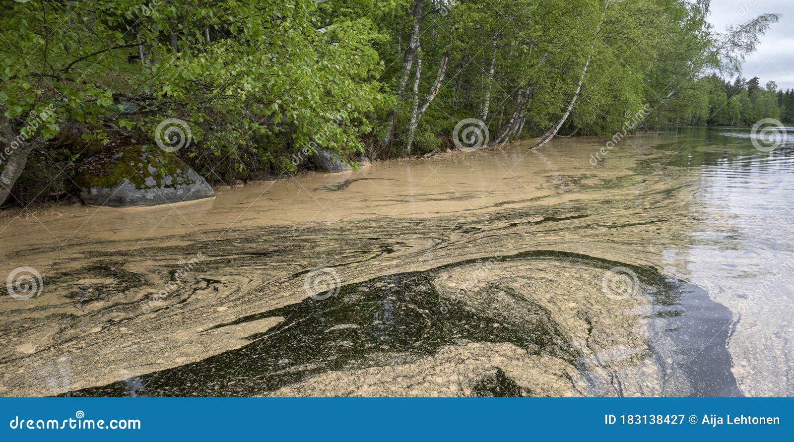 Spring Pollen Cluster in a Water Stock Image - Image of naturally ...