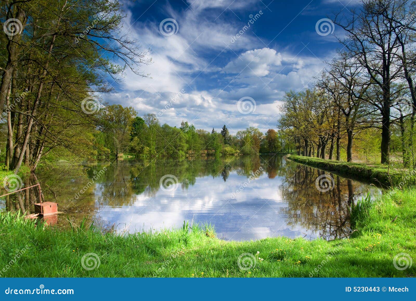 Spring pond landscape stock image. Image of blossom, summer - 5230443