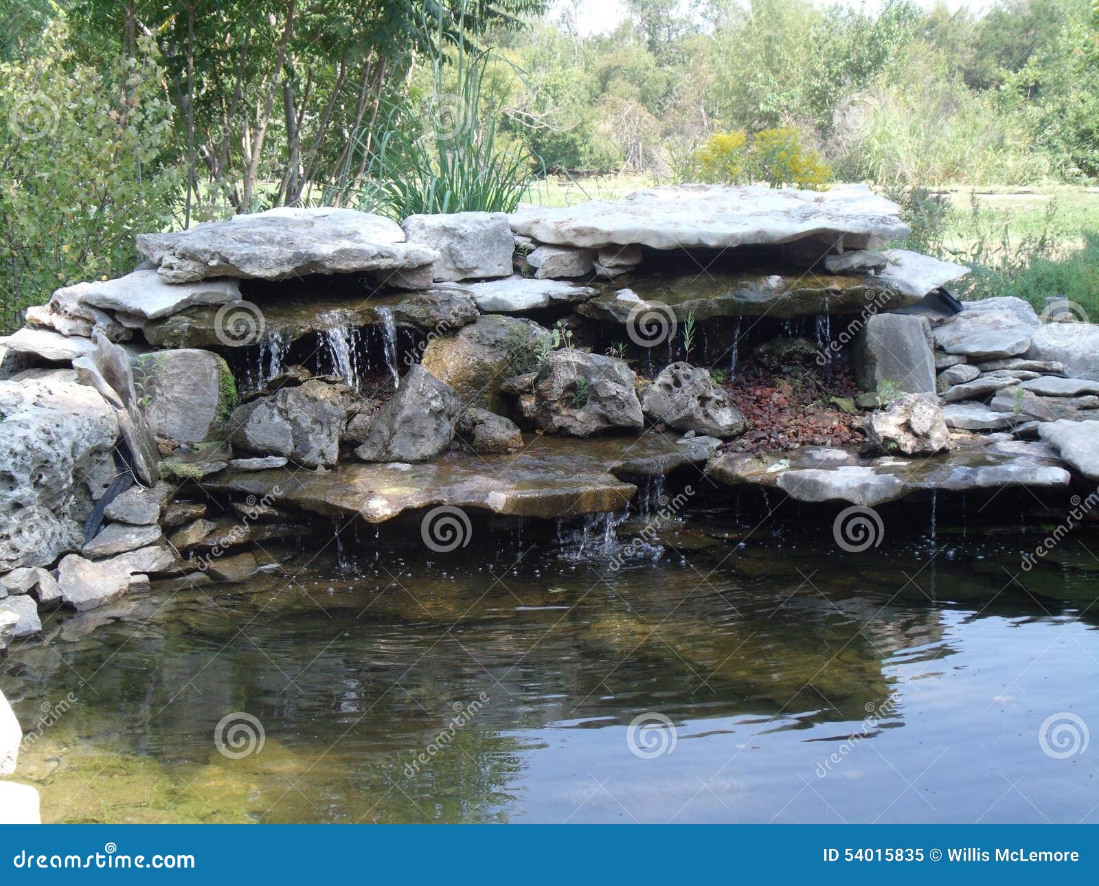 Spring Pond editorial image. Image of spring, lovely - 54015835