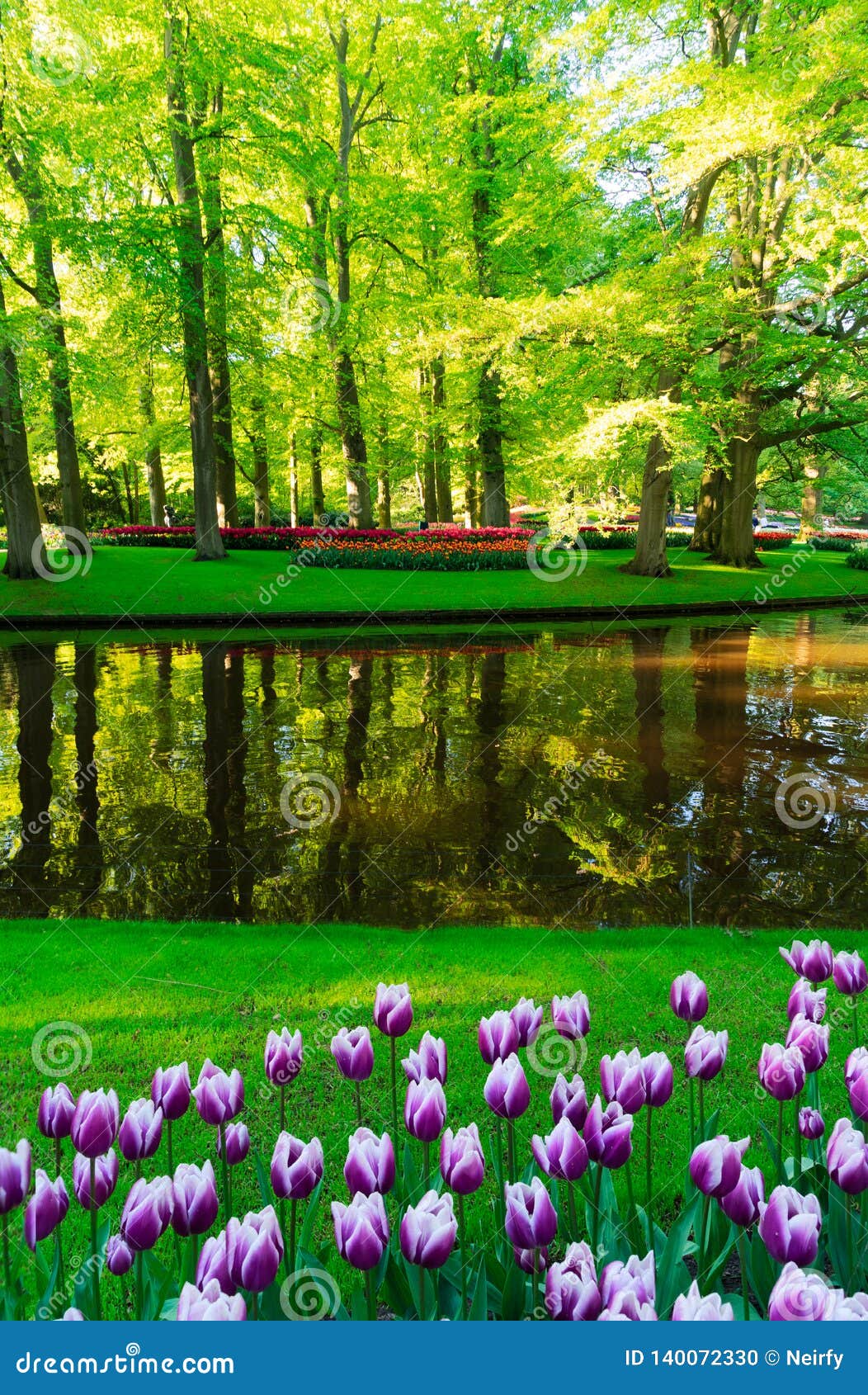 Spring pond in park stock photo. Image of house, holland - 140072330