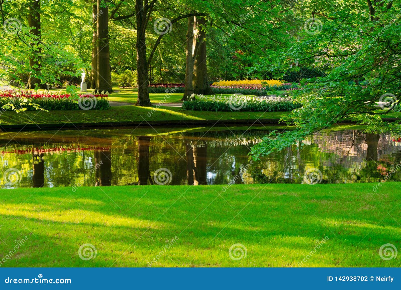 Spring pond in park stock photo. Image of landscape - 142938702
