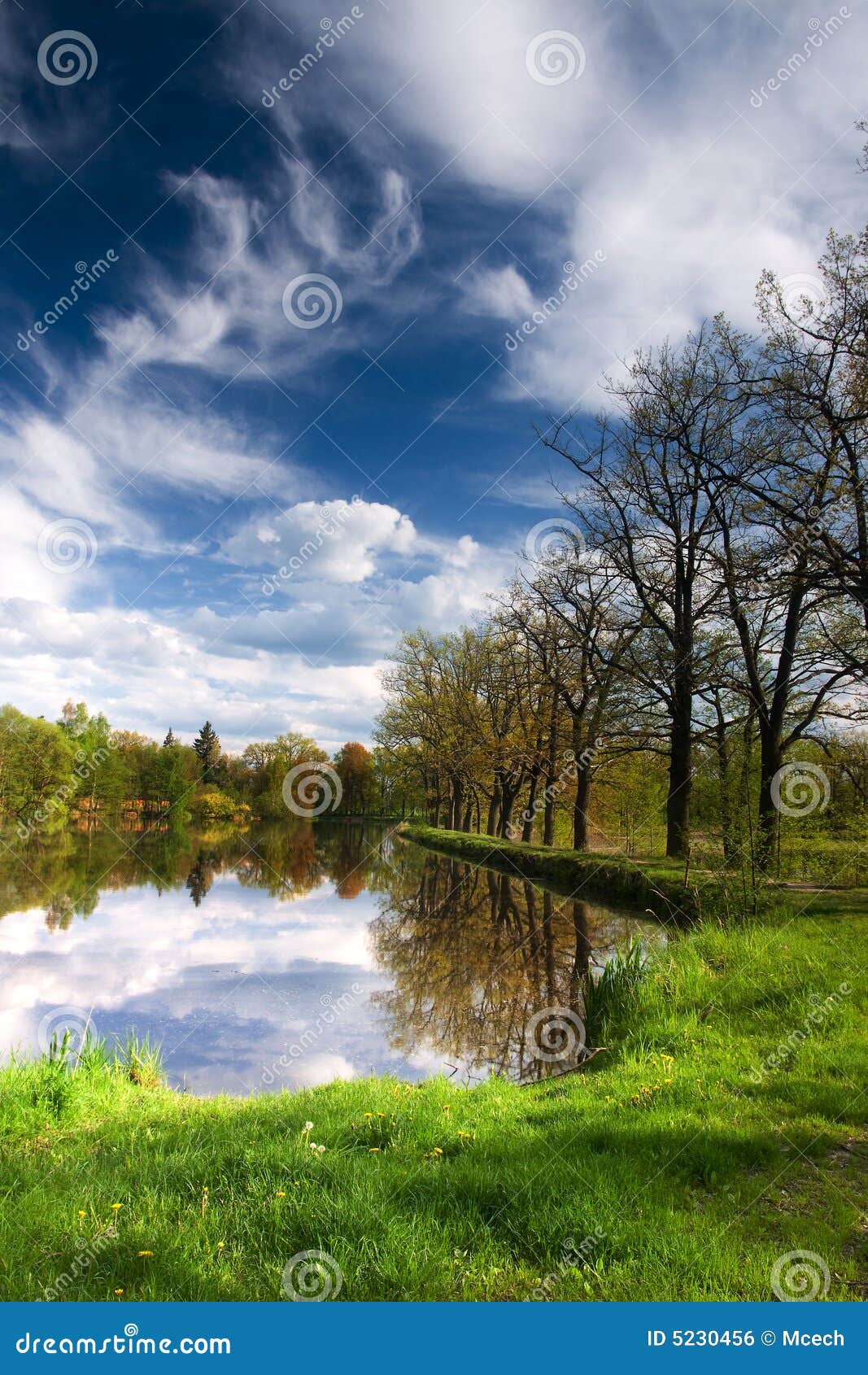Spring pond view stock photo. Image of outdoor, nature - 5230456