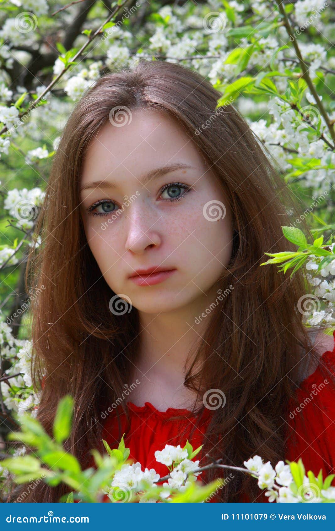 Spring portrait stock image. Image of outdoor, meadow - 11101079