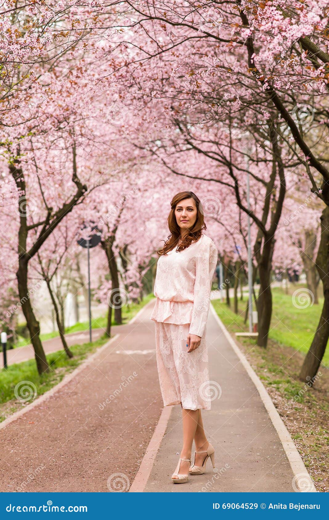Spring portrait stock image. Image of blossom, floral - 69064529