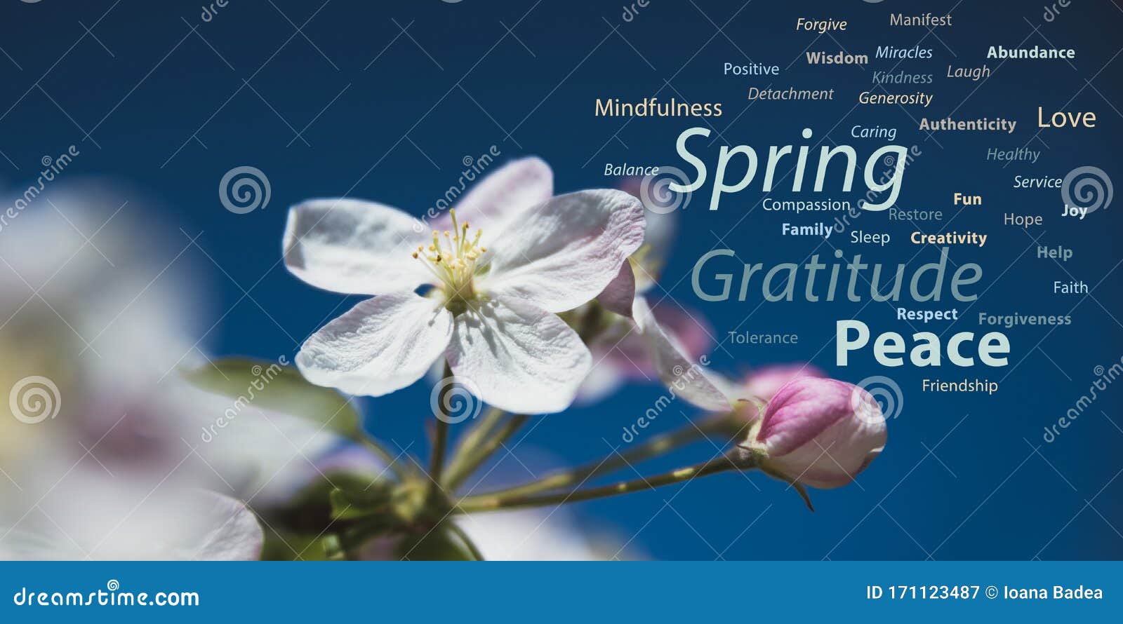 Spring positive words stock image. Image of apple, faith - 171123487