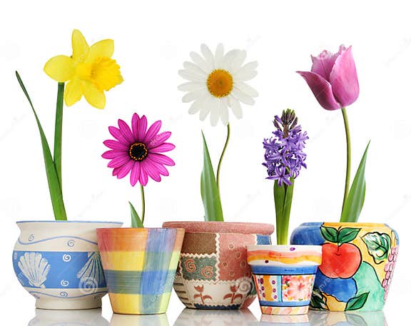 Spring in pots stock image. Image of display, hyacinth - 4303183