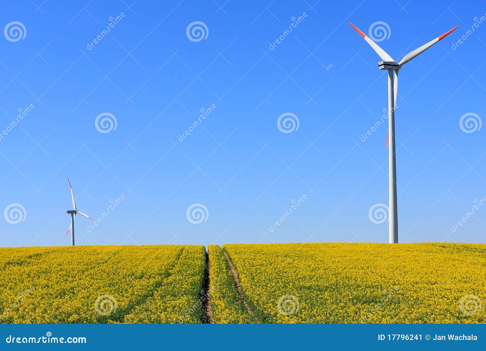 Spring power landscape stock image. Image of environmental - 17796241