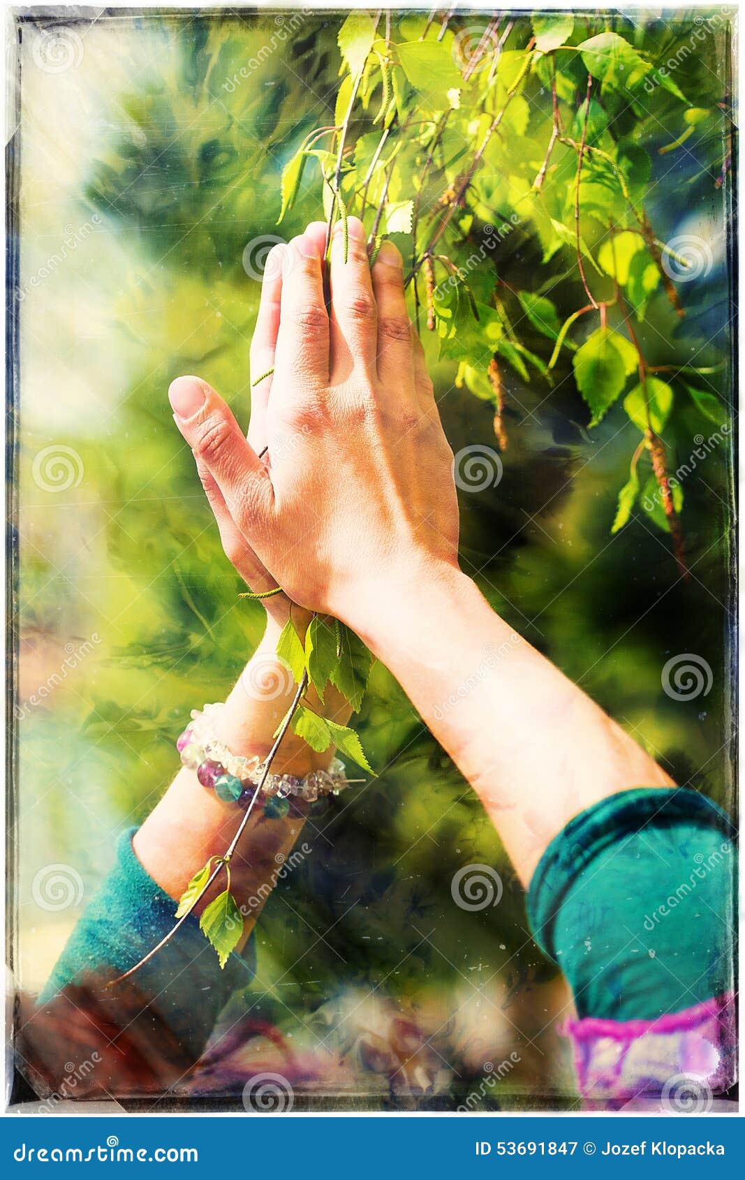 Spring Prayer â€“ Adoring the Healing Powers of the Spring. Tree in ...