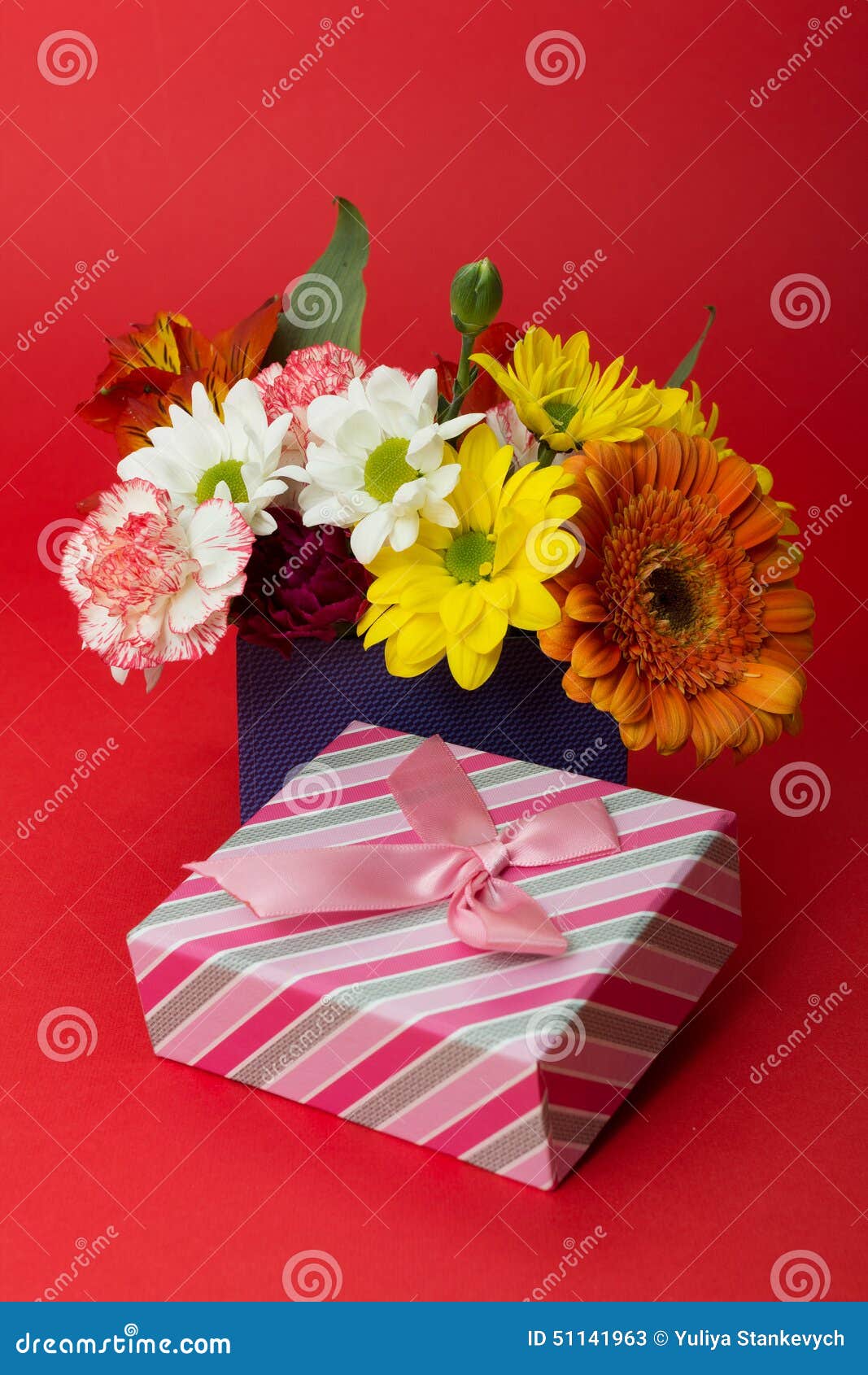 Spring present stock image. Image of daisy, carnation - 51141963