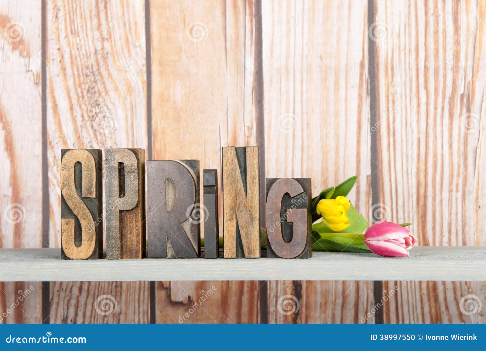 Spring in print letters stock photo. Image of tulips - 38997550